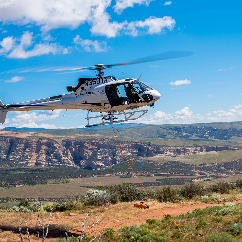 HOME - Trans Aero Ltd